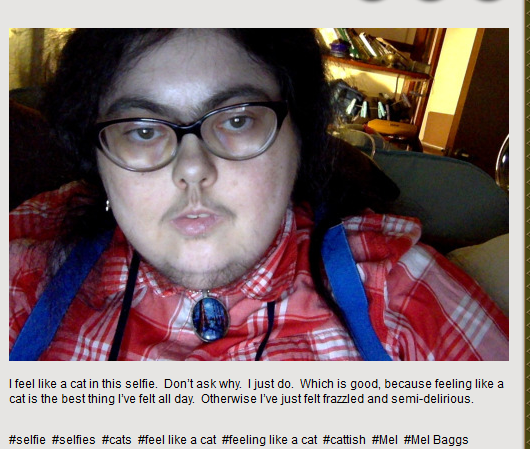 Amanda/Amelia Baggs / witharoundsmoothstone / ballastexistenz | Kiwi Farms