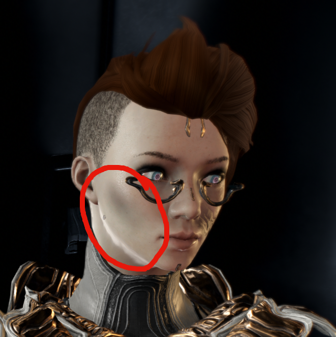 Separate Eyeshadow and Cheek Accent Colours and other Operator Customization Feedback - General ...