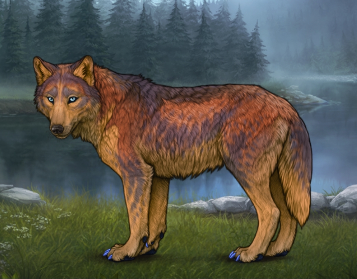 shaddok's R&C Record |:| Wolvden