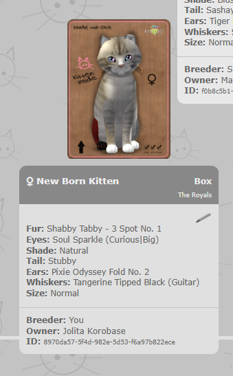 New Fur Shabby Tabby - 3 Spot No. 1