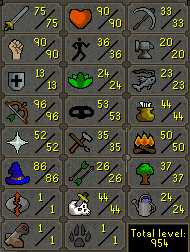 [S] cb 85 13 def pure [addy gloves, fcape, kbd pet, 96 range 90str n hp ...