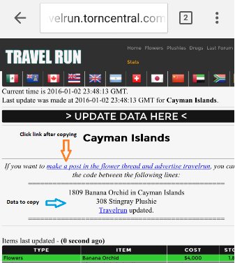 Forums | TORN