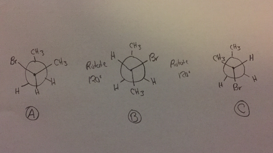 Solved Which staggered newman projection is the most stable? | Chegg.com