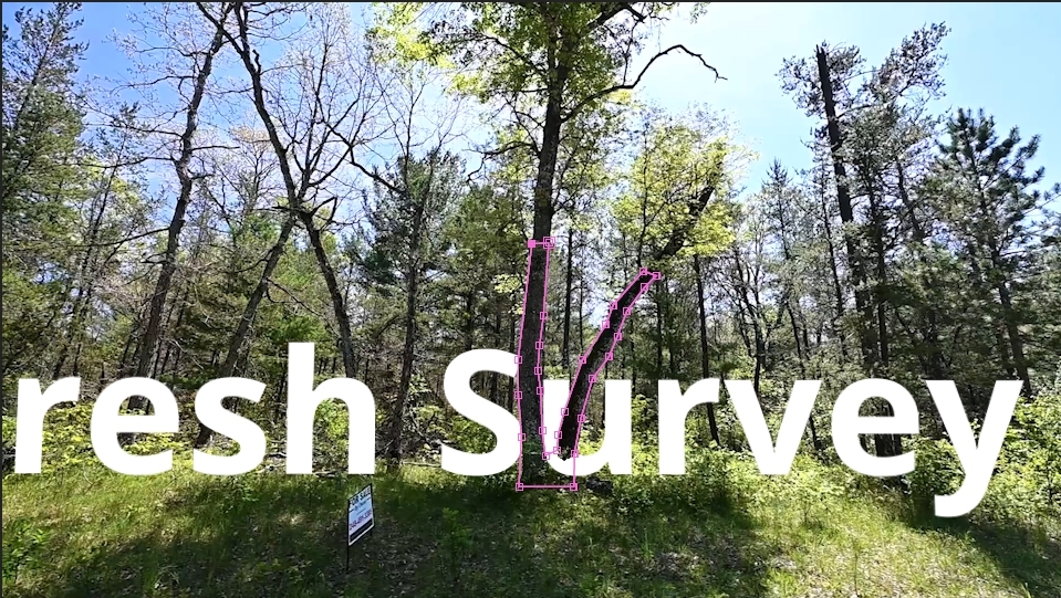 How do I manually mask and track a tree with the camera tracking? : r ...
