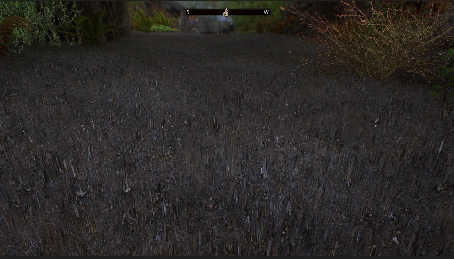 weird Northern Roads texture bug? : r/skyrimmods