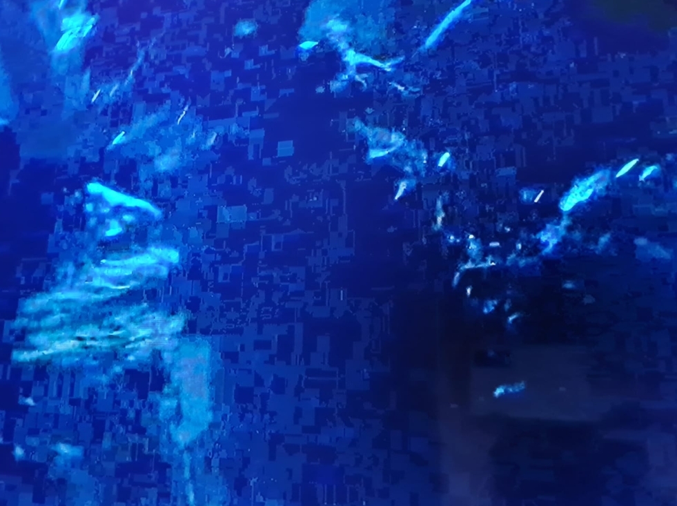 Help with pixelated video : r/techsupport