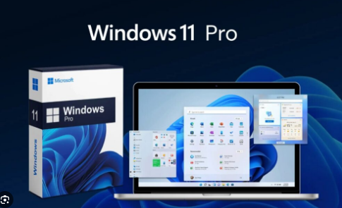 Common Errors Related to Windows 11 Product Key – The Needle's Eye