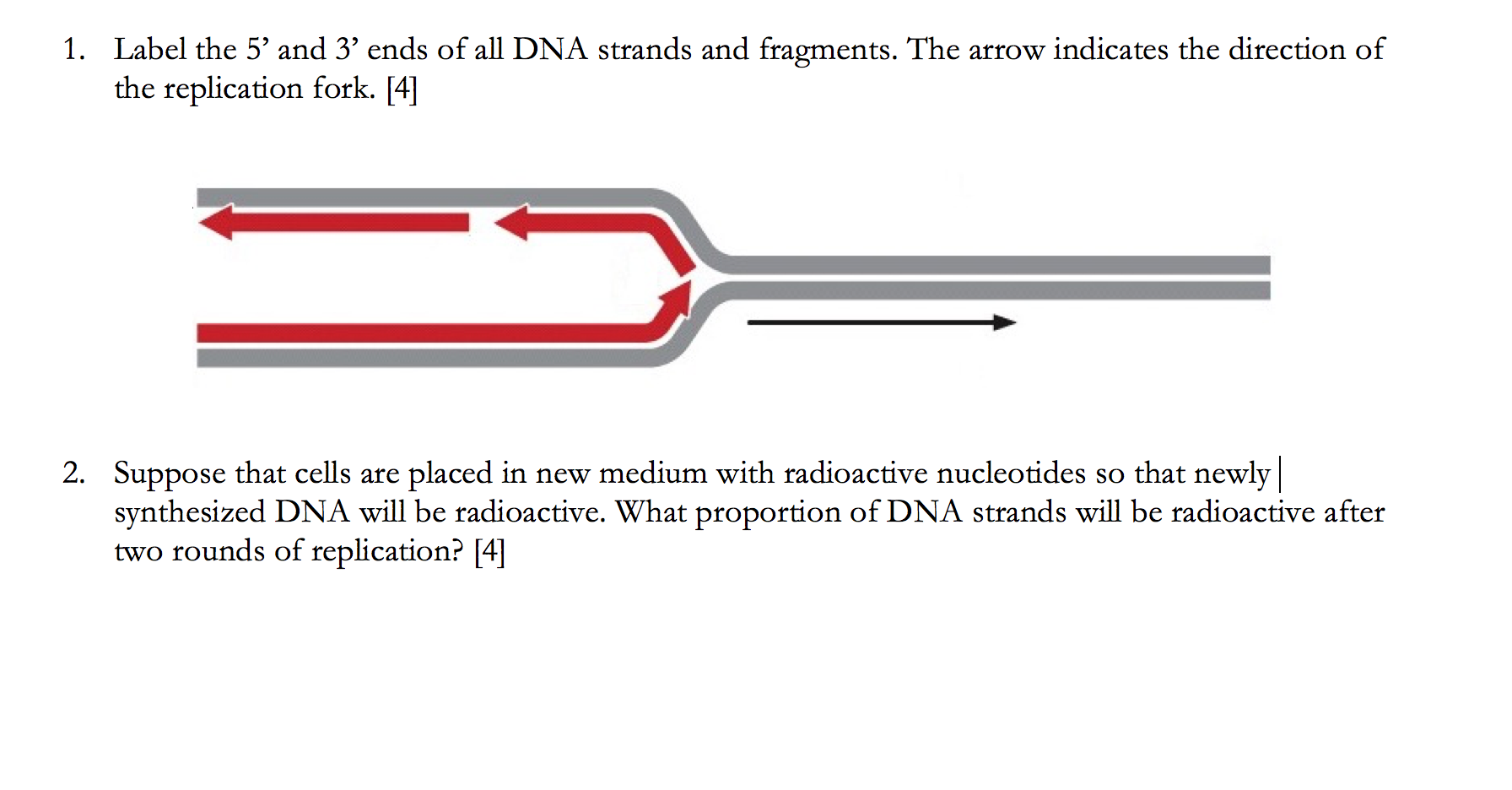 Solved Label the 5' and 3' ends of all DNA strands and | Chegg.com