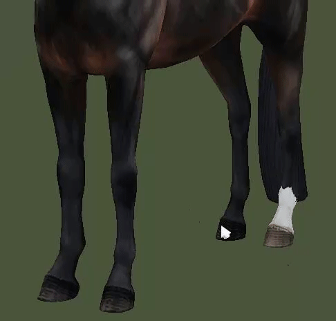 @equinista on Tumblr