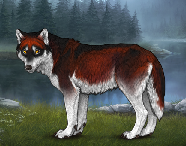 Wolf Custom