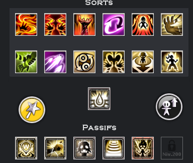 Help with sacrier damage dealer and tank build - WAKFU FORUM ...