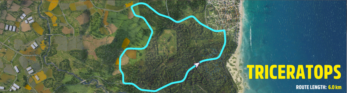 Exchange of custom road racing routes : ForzaHorizon