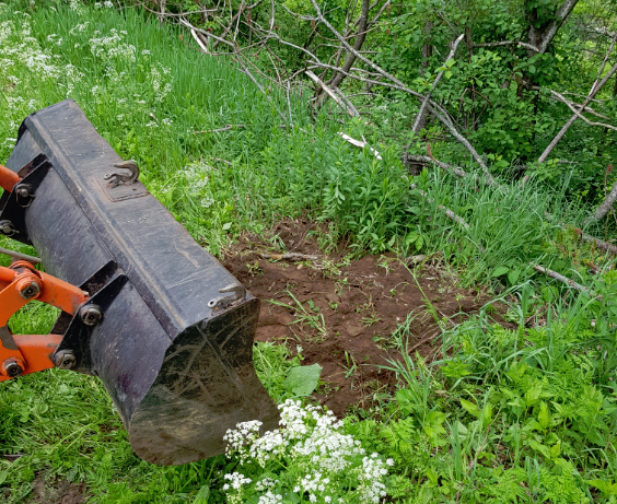 UPDATED - Pg 2 - SSS. Waiting on the skunk under my side porch to come ...