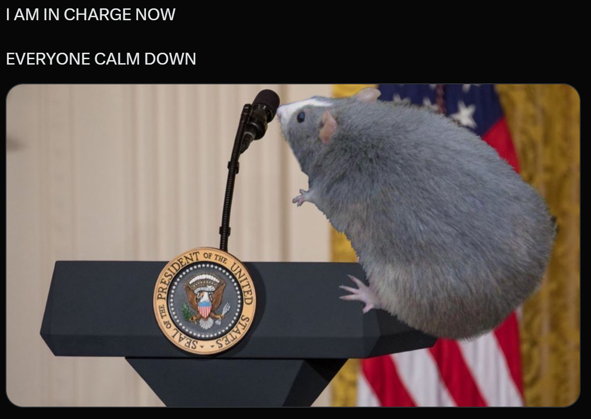 A Realization ; Looking for Someone to play a Darkie child - Page 2 ...