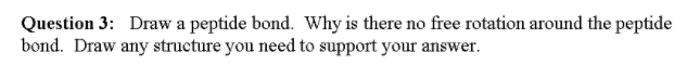 solved-question-3-draw-a-peptide-bond-why-is-there-no-free-chegg