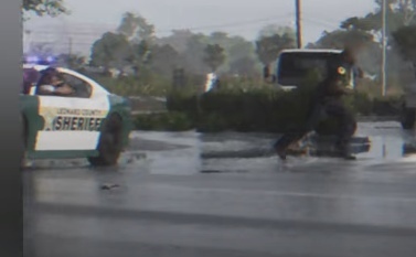 GTA VI - Trailer 1 Analysis - Page 10 - Official News - GTAForums