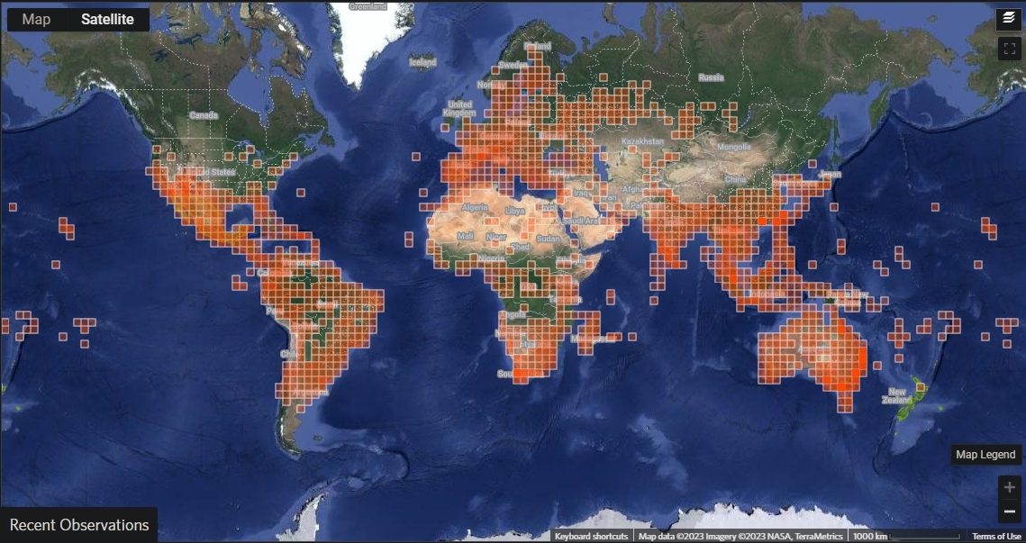 Worldwide habitats of Huntsman Spiders : r/MapPorn