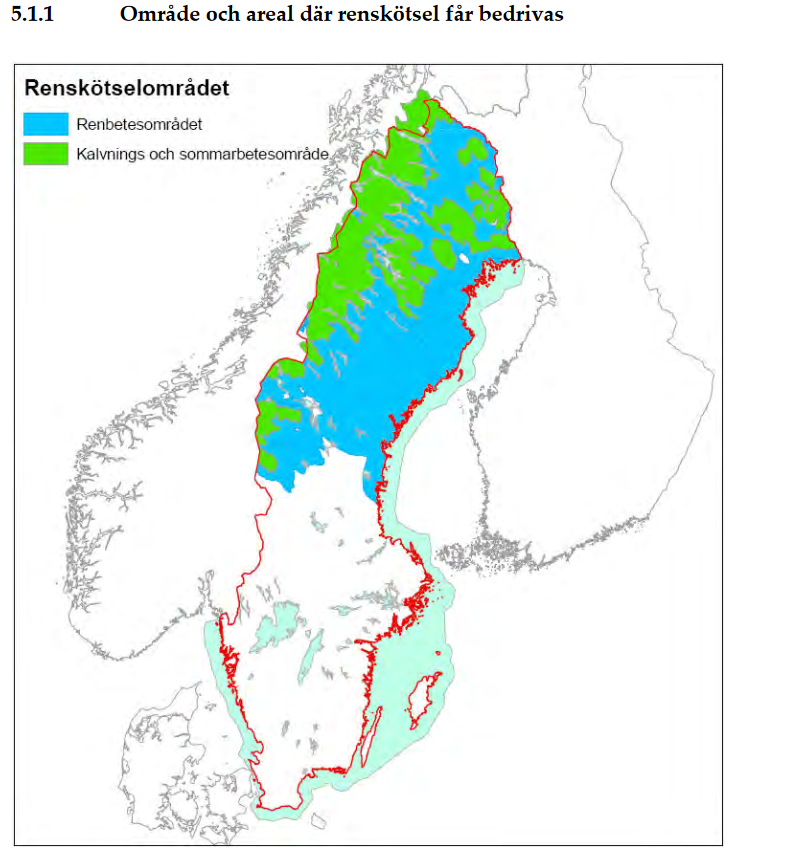 Huge Swedish wolf hunt will be ‘disastrous’ for species, warn experts ...
