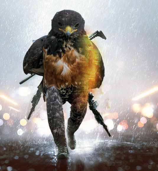 Need a Hawks avatar.