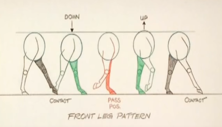 Four Legged Walk Cycle Tutorial - vrogue.co