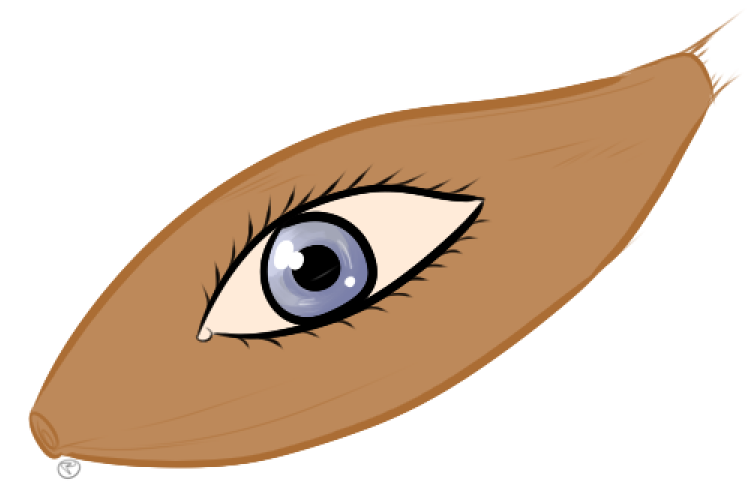 Can someone draw me an "eye yam"? : r/DrawForMe