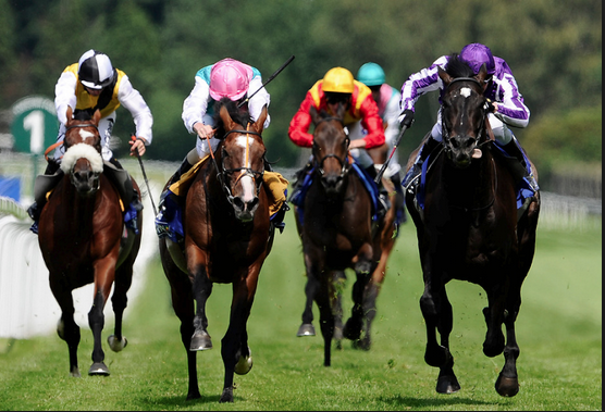 What Does Point Spread And Money Spread Mean In Sports Betting I Have Learned Over The Years 