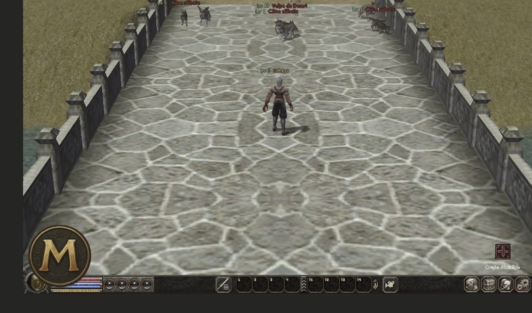 Screenshot Watermark - Features & Metin2 Systems - Metin2Dev | M2Dev