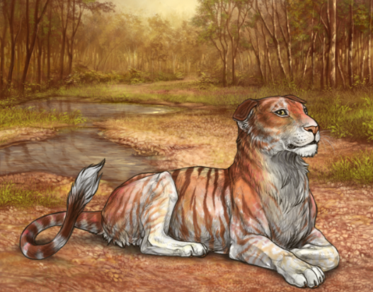 G1|Mandarin|8M+MS|200SB :|: Lioden