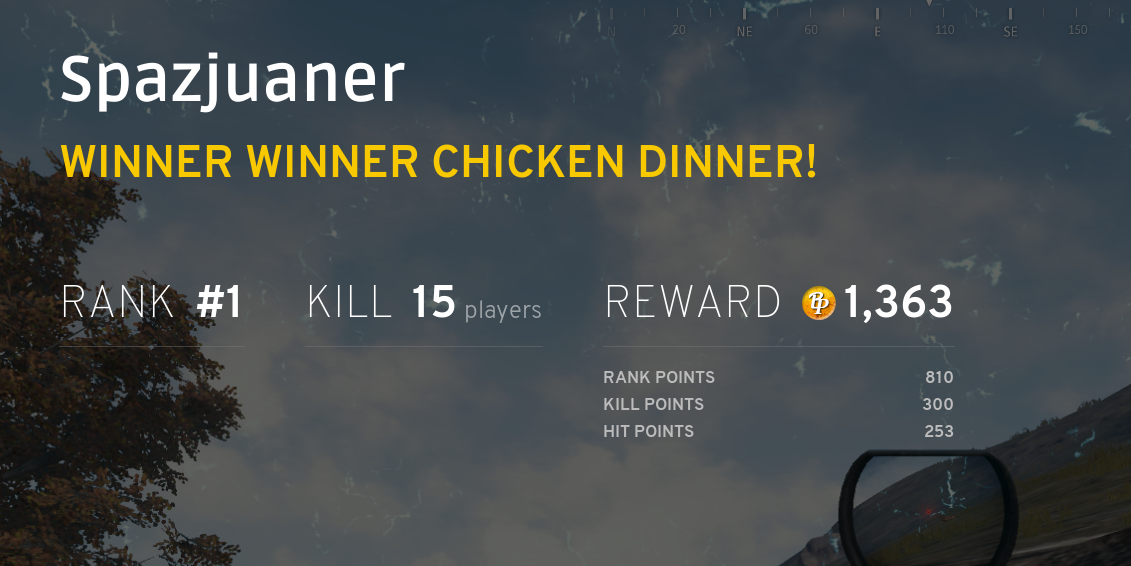 Please remove end game circle RNG : r/PUBATTLEGROUNDS