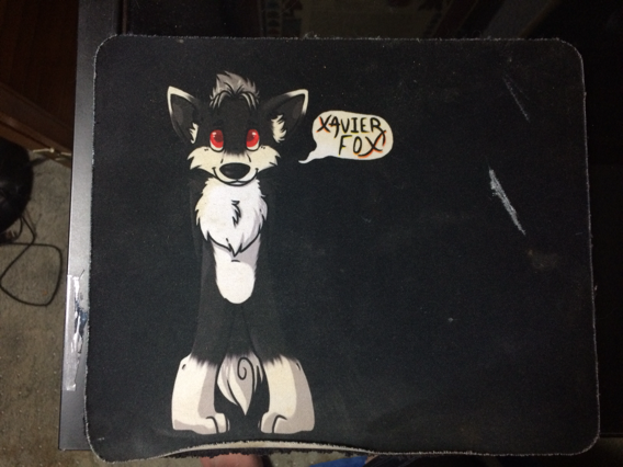 Userpage of XavierTehFurry -- Fur Affinity [dot] net