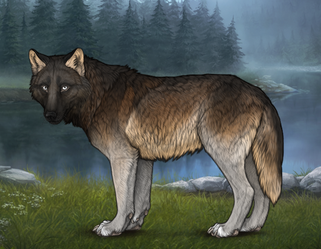 (Natural Colored) CUSTOM-MADE WOLF DESIGNS |:| Wolvden