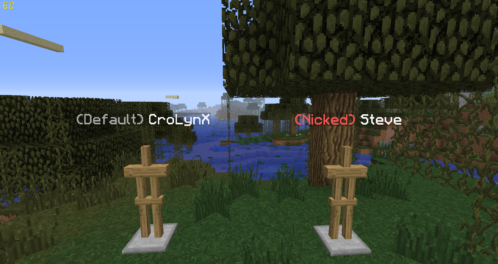 Set Playername above Character | SpigotMC - High Performance Minecraft