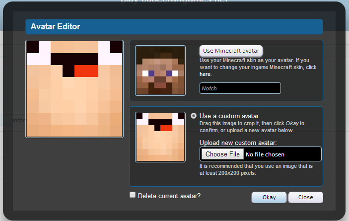 Profile Face Picture! | Mineverse