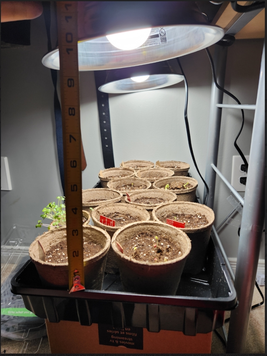 Is this a good distance for grow lights on new seedlings? : r/gardening