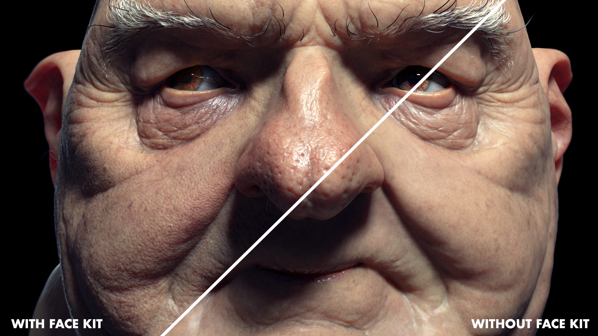 Flippednormals Face Kit (Video Tutorial Is Filled) - Free Daz 3D Models