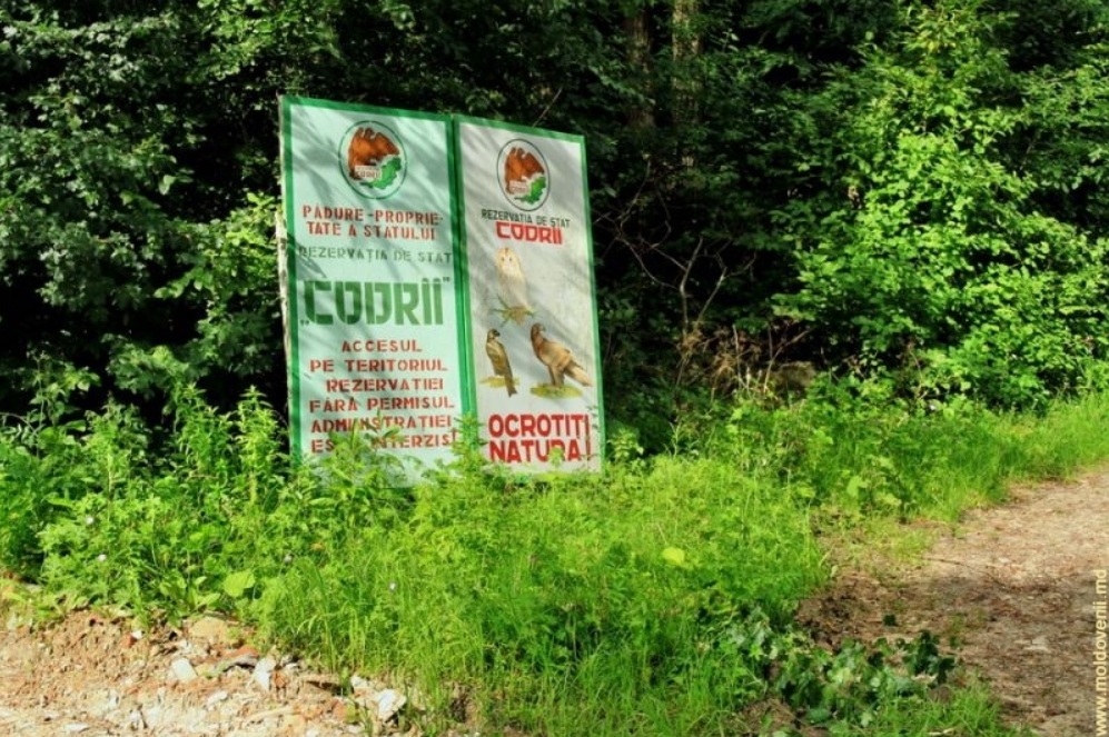 Rezervația științifică ''Codrii'' - Resurse Educaționale