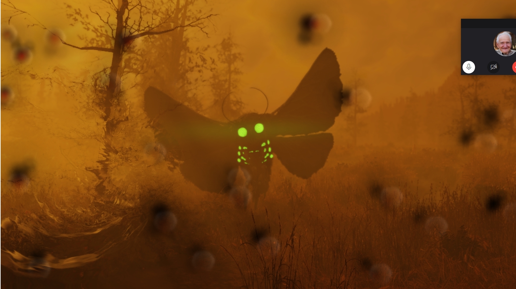 Found Glowing Mothman. : r/fo76