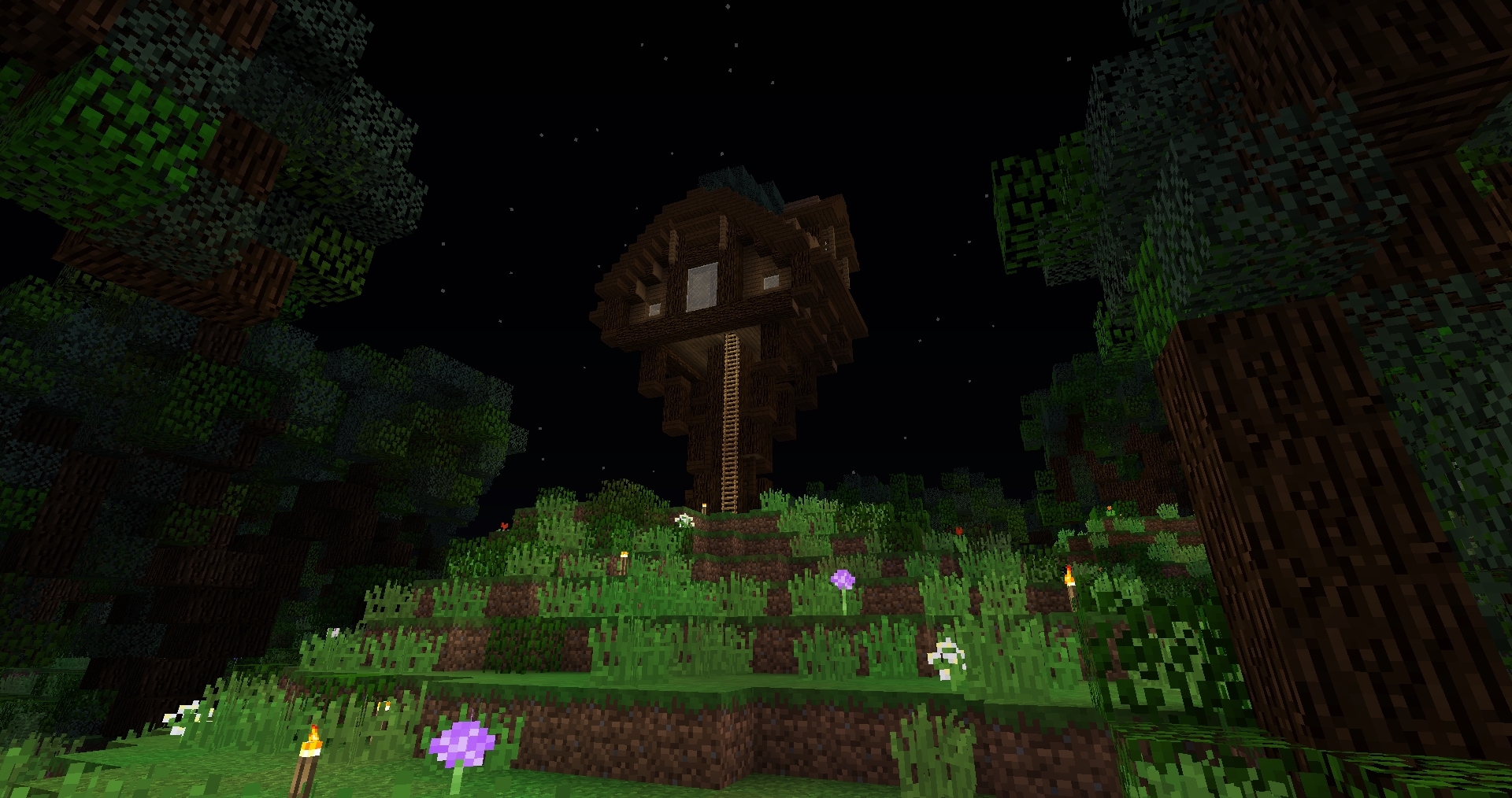 The Aurora Network - My Survival Experience - PC Servers - Servers: Java Edition - Minecraft ...