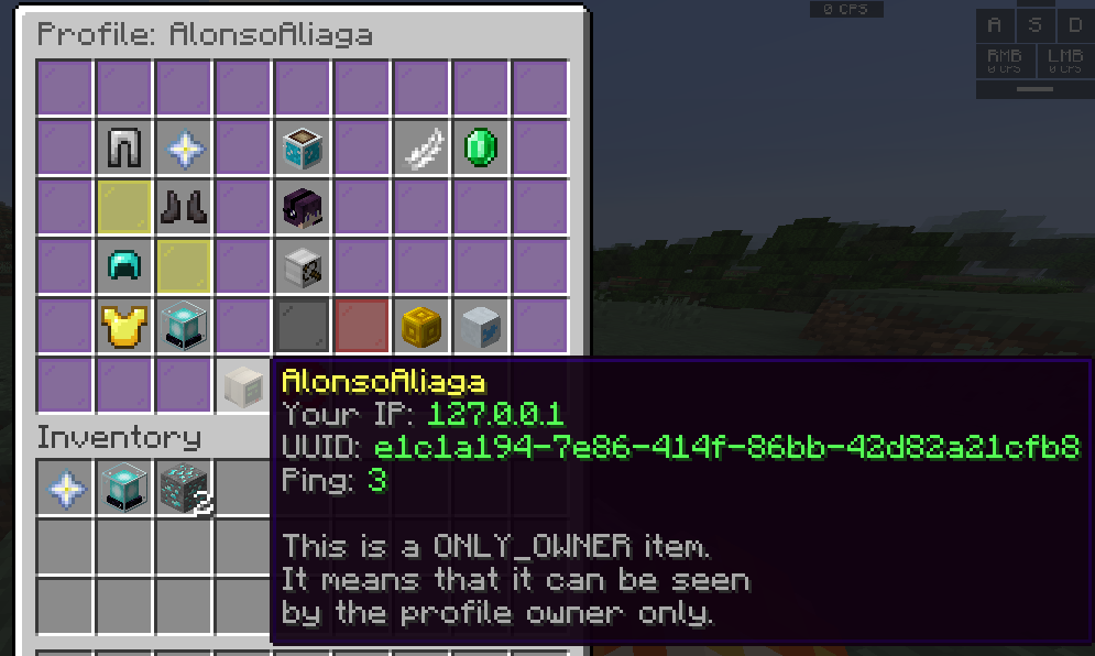 BetterProfiles [1.8+] • Custom items! Textures! Permissions! Commands ...