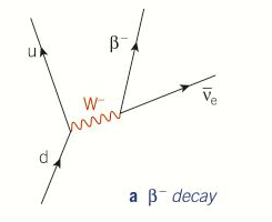 AS Physics Chapter 2 Notes – Quarks and leptons | A Level Notes