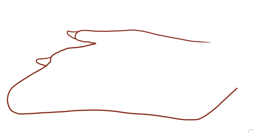 Simple raptor wing drawing quicktip by elevenels on DeviantArt