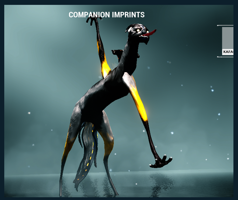 My kavat has seen better days : r/memeframe