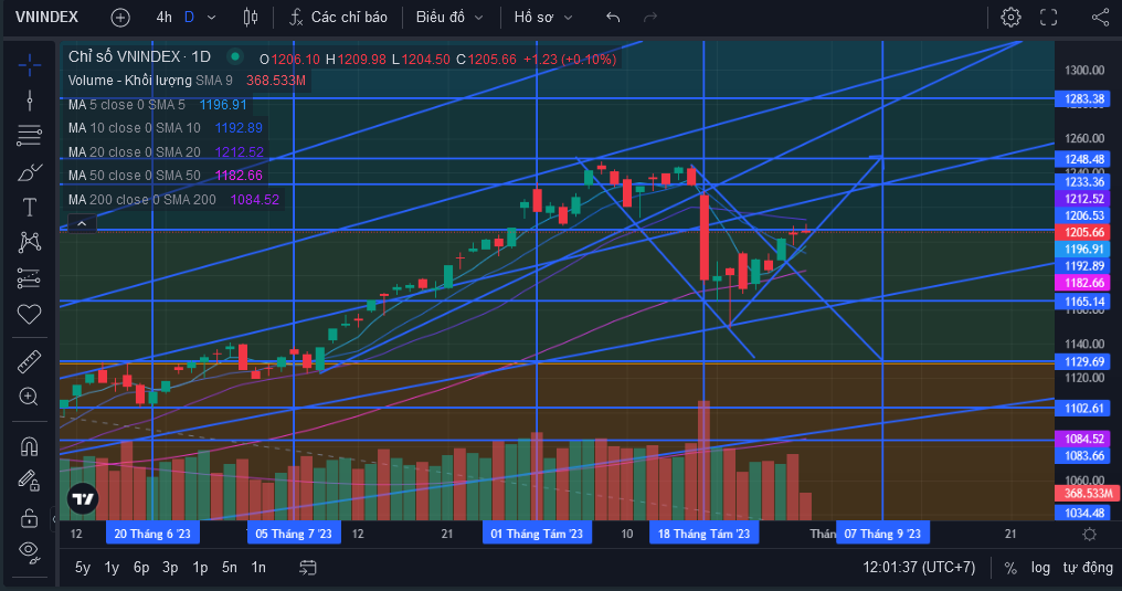 NVL- Tích Luỹ Chờ Phục Hồi | Diễn đàn chứng khoán F319.com