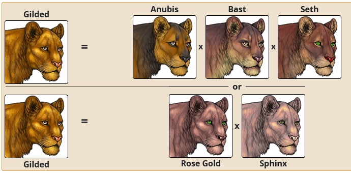 Wiki "OR" bases :|: Lioden