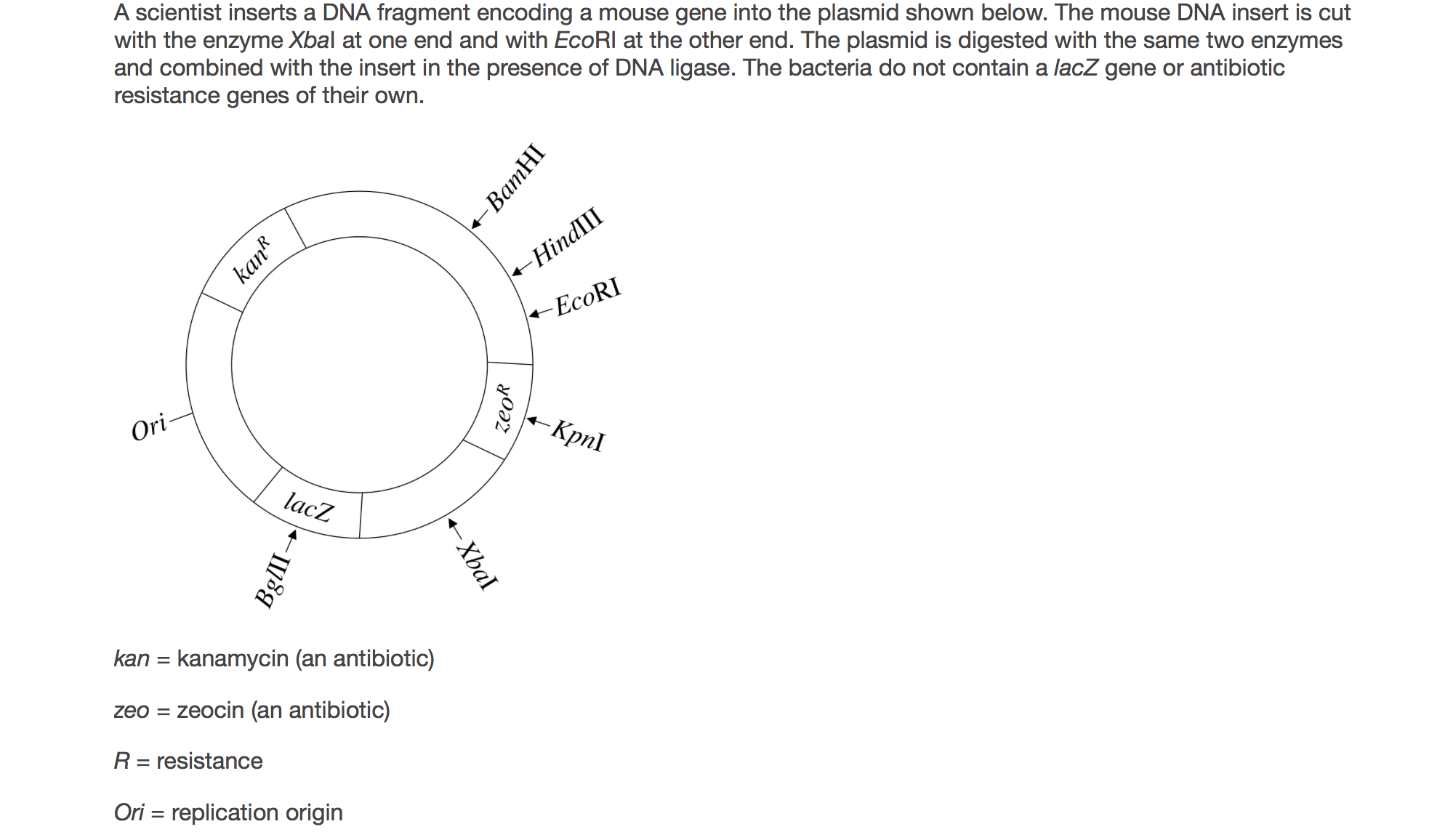 Solved A scientist inserts a DNA fragment encoding a mouse | Chegg.com