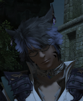 Hairstyle contest pics shown at 14h Live Anniversary : r/ffxiv