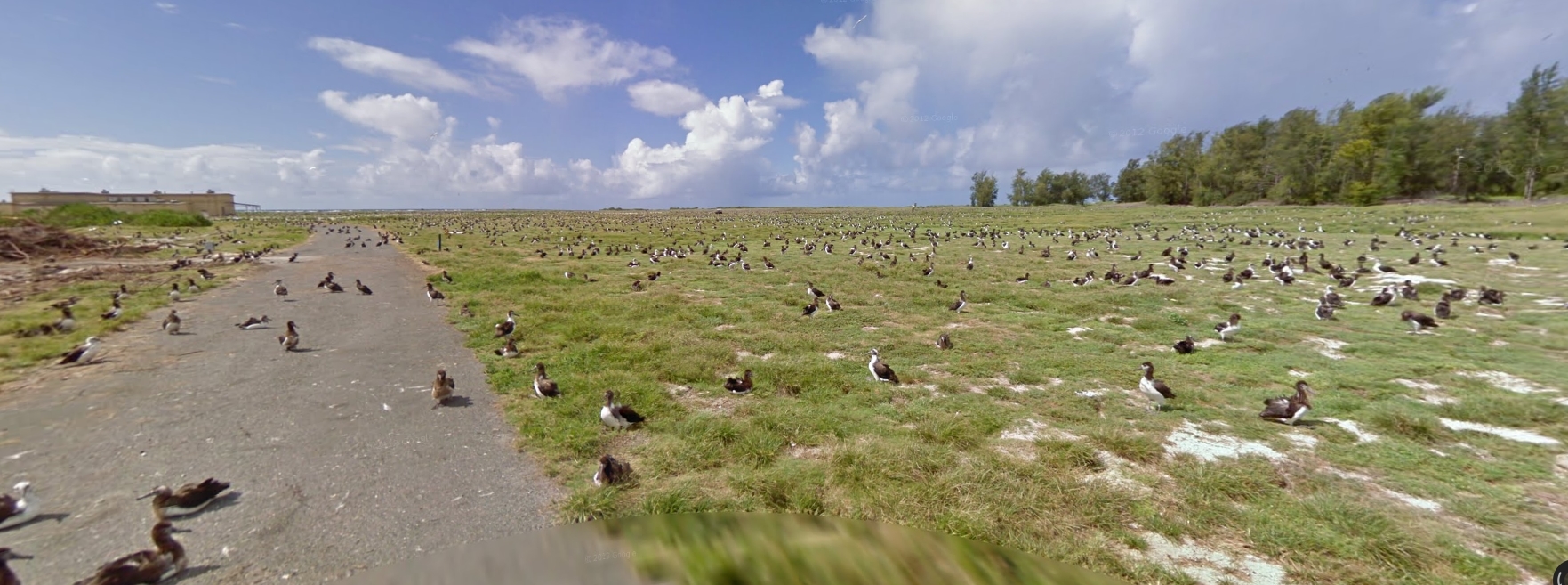 La isla de los patos en Google Street View - Forocoches