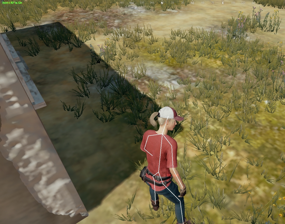 [Discuss] Bone ESP Rotation Weird