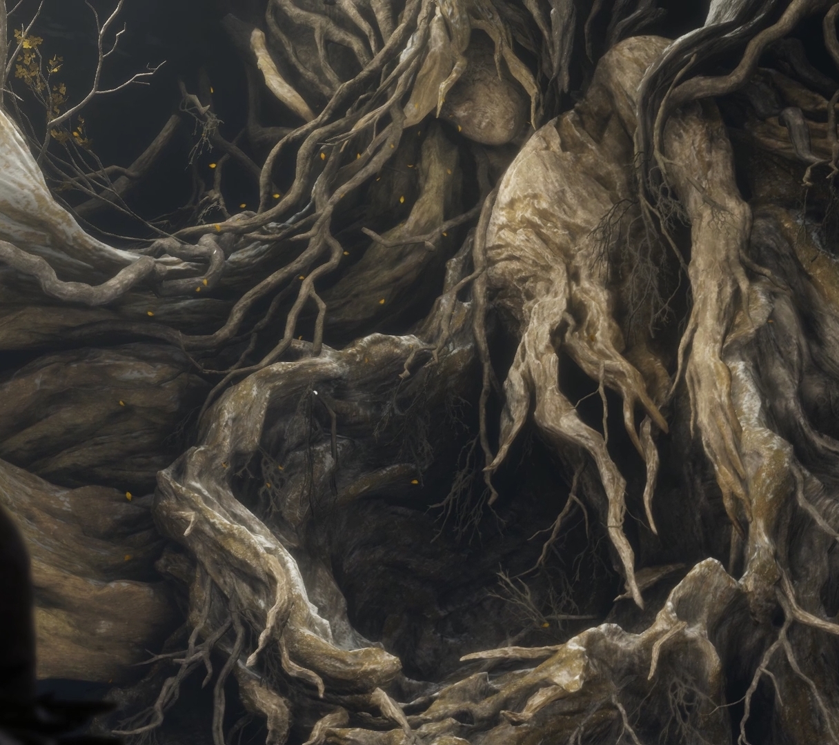 Miquella's Cocoon base/holder resembles a human pelvic bones A Lot, any ...