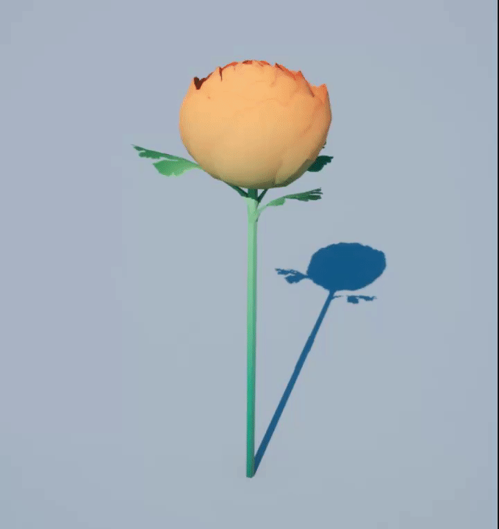 Flower Bloom UE5 – Emmett Green
